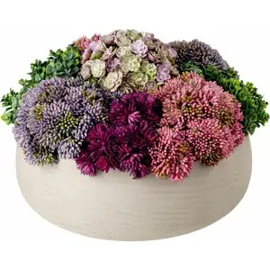 COCOBELLA Georgina Sedum Arrangement - Ash