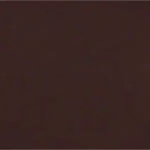MAISON MARGIELA Leather Tabi Mary Jane Pumps 60 - Brown