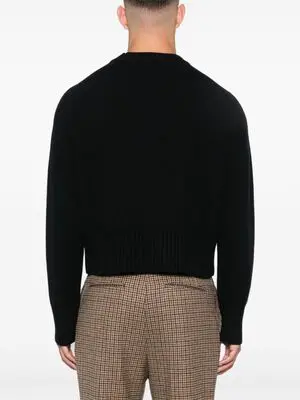 Extreme Cashmere Nº167 Please Sweater