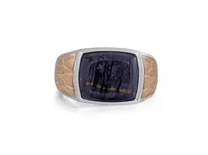 LUVMYJEWELRY Picture Agate Signet Ring - Silver