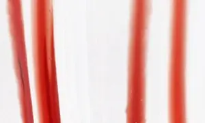 VIETRI Nuovo Stripe Tall Tumbler