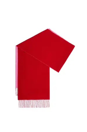 Loewe Scarf In Wool And Cashmere Pink/red