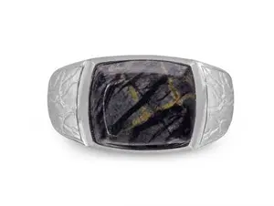 LUVMYJEWELRY Sterling Silver Picture Jasper Signet Ring Silver