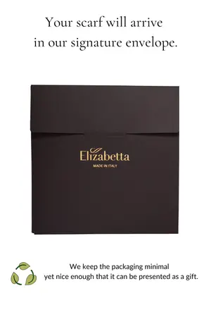 ELIZABETTA Alessandralong Sheer Silk Scarf For - Purple