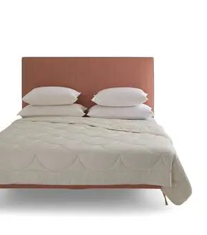 SAVOIR King Silk Duvet - Beige