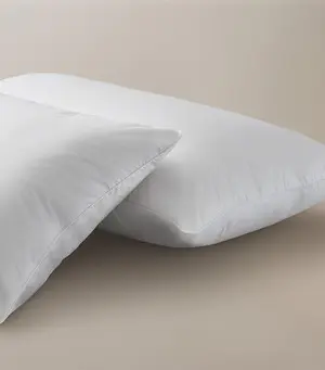 SAVOIR Medium Goose Down Pillow