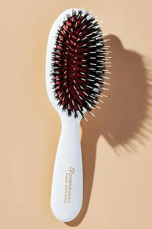 Bristle Brush Hair