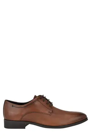 Calvin Klein Dearl Derby - Cognac