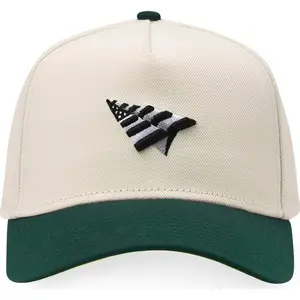 PAPER PLANES PAPER PLANES Logo 9FORTY A-Frame Snapback Cap Chrome White/ Dark Green