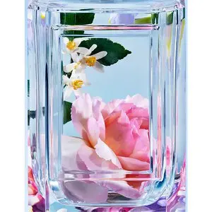 Prada Olfactories Pink Flamingos Eau De Parfum - One-color