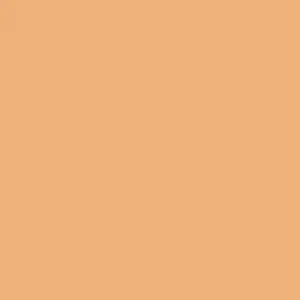 Bobbi Brown Skin Concealer Stick - Neutral