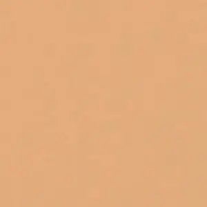 Bobbi Brown Skin Concealer Stick - Neutral