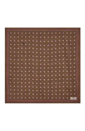 Robert Talbott Harmon Neckerchief - Brown/blue