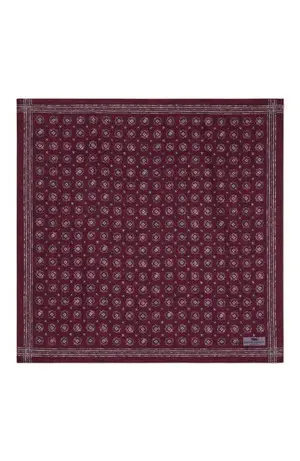Robert Talbott Harmon Neckerchief - Burgundy/navy
