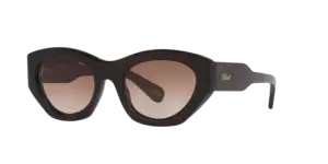 Chloé Ch0220s Sunglasses - Brown