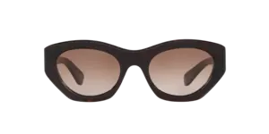 Chloé Ch0220s Sunglasses - Brown