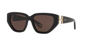 Chloé Ch0235s Sunglasses