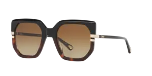 Chloé Sunglasses - Brown