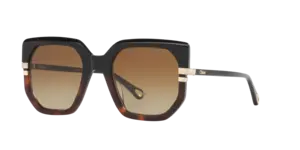 Chloé Ch0240s Sunglasses - Brown