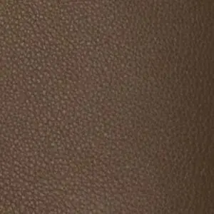 THE ROW N/s Park Leather Tote Bag