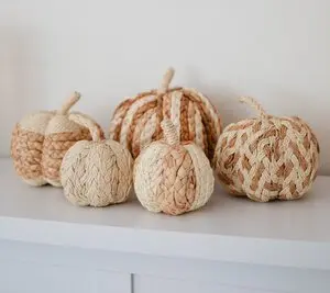 LAUREN MCBRIDE Home Set Of 5 Rattan Pumpkins - One-color