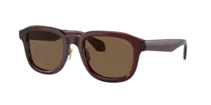 Giorgio Armani Sunglasses - Dark Brown