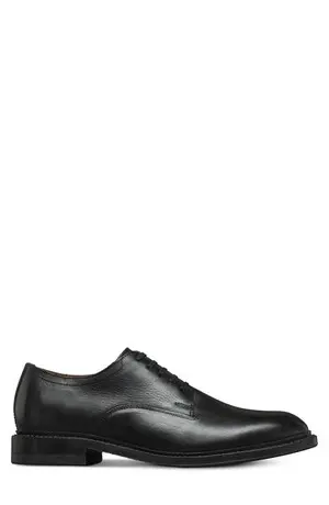 Allen Edmonds Trevor Derby - Black