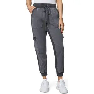 Splendid Elasticated Sports Pants For Women