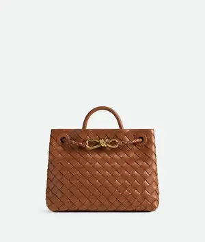 Bottega Veneta Small Andiamo Top Handle Bag