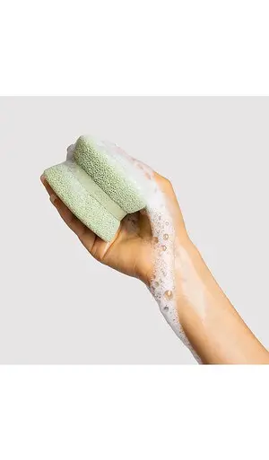 DOTTI Super Scrubber 3 Pack In Green - Sage