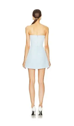 SAU LEE Isla Strapless Mini Dress With Tassel Accent