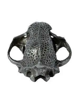 PARTS OF FOUR Leopard Skull Centrepiece