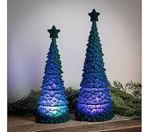 EVERGREEN Set Of 2 Lighted Flocked Tree With St Ar Table Decor - One-color