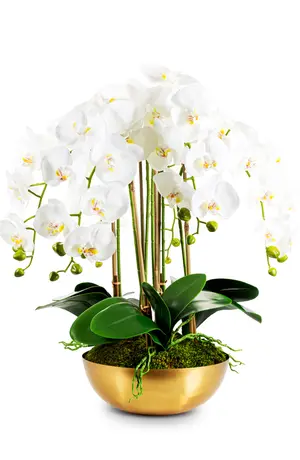 COCOBELLA Abigail Realtouch White Orchid In Gold Bowl - Gold, White, Green