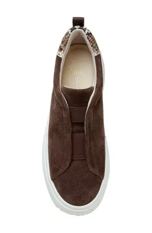 Linea Paolo Golde Platform Sneakers - Chocolate Brown/brown