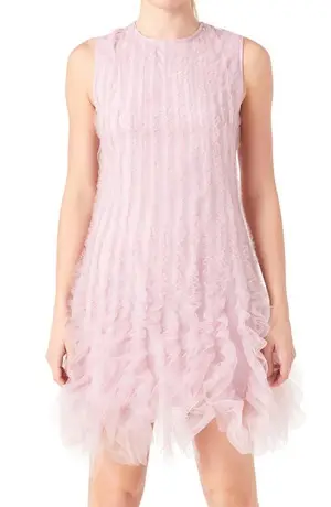 Endless Rose Ruffle Tulle Mini Dress