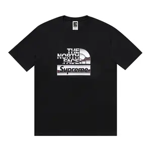 Supreme The North Face Metallic Logo T-shirt - Black