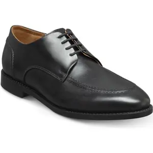 Allen Edmonds Lace Derbys