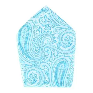 Trafalgar Sobee Paisley Silk Pocket Square - Blue