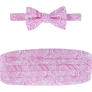 Trafalgar Sobee Paisley Cummerbund And Bow Tie Set - Pink