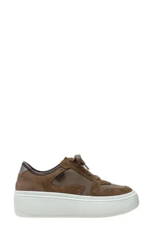 Linea Paolo Gains Platform Sneakers - Dark Olive