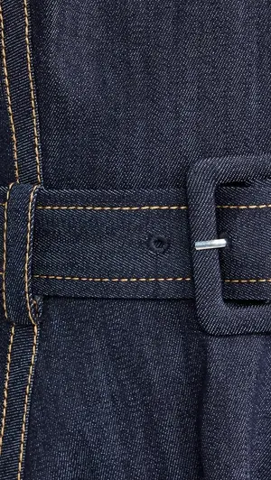 Cinq À Sept Zelda Denim Dress