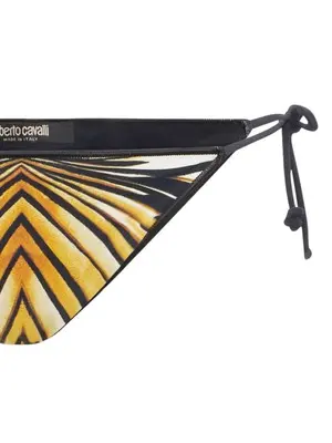 Roberto Cavalli Graphic Print Bikini Bottom