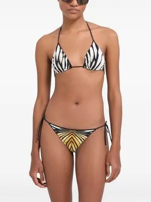 Roberto Cavalli Graphic Print Bikini Bottom