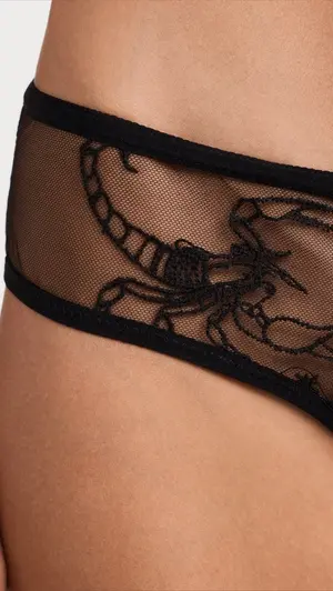 THISTLE AND SPIRE Scorpio Bikini Panties