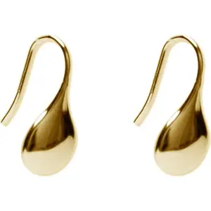 Argento Vivo Teardrop Earrings - Gold