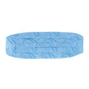 Trafalgar Sobee Paisley Silk Cummerbund - Light Blue Paisley