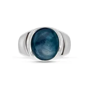 LUVMYJEWELRY Dark Apatite Sterling Silver Signet Ring - Blue