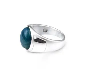 LUVMYJEWELRY Dark Apatite Sterling Silver Signet Ring