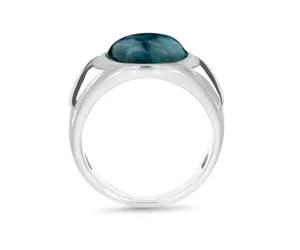 LUVMYJEWELRY Dark Apatite Sterling Silver Signet Ring